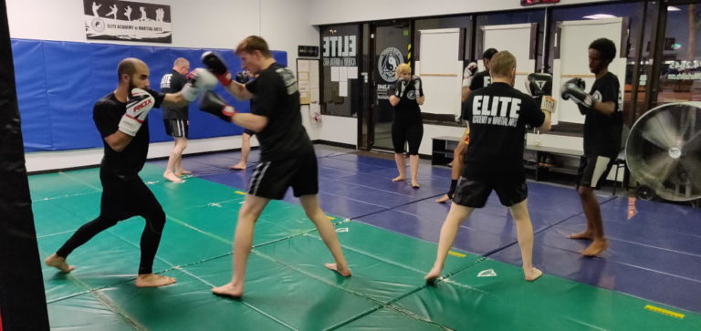 Muay Thai Training | Elite Academy of Martial Arts